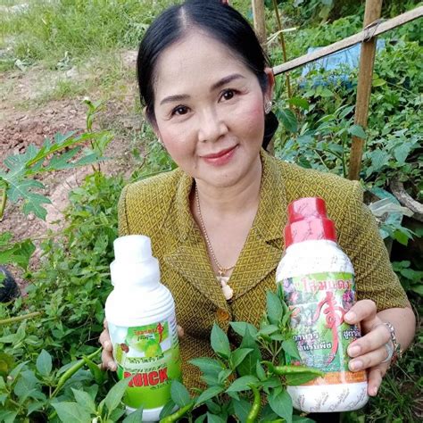 Paulenachauat Line Shopping