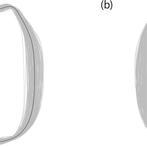 Grain Shape Variation Observed In Datasets A A And B B Average