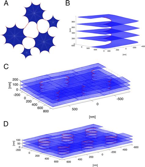 Model Prediction Of Fenestrations And Helicoidal Membrane Stacks A Download Scientific