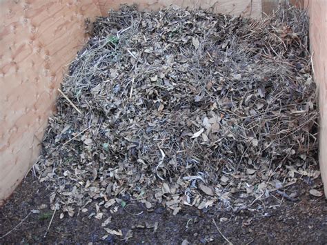 The Garden Oracle Composting Basics Gardening Advice Supplies