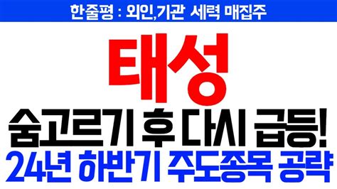 태성 주가전망 🚨숨고르기 후 다시 급등🚨24년 하반기 주도종목 공략 태성 태성주가 태성주가전망 유리기판 반도체관련주 태성호재 태성시세 Youtube