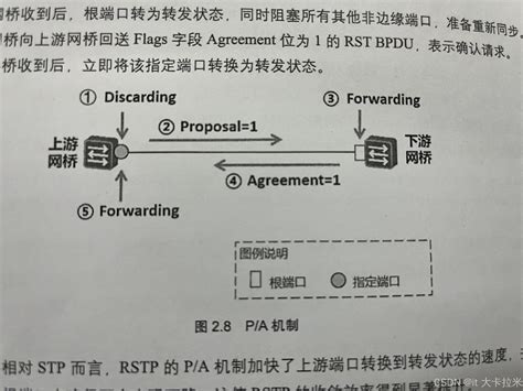 Rstp（快速生成树协议）讲解rstp端口角色 Csdn博客