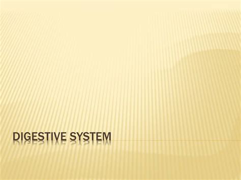 Ppt Digestive System Powerpoint Presentation Free Download Id2873169