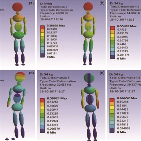 pdf modal analysis of standing human body using fem