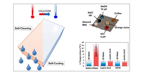 A Dynamically Responsive Surface With Switchable Wettability For Efficient Evaporation And Self