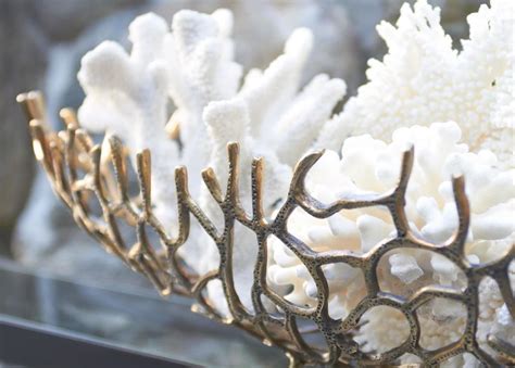 Pin By Amy Williams On Brass Seashells Accent Decor Luxury Design Bowl