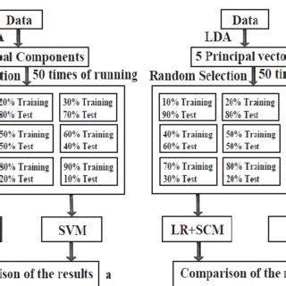 Schemas Of SCM Classification Example Download Scientific Diagram