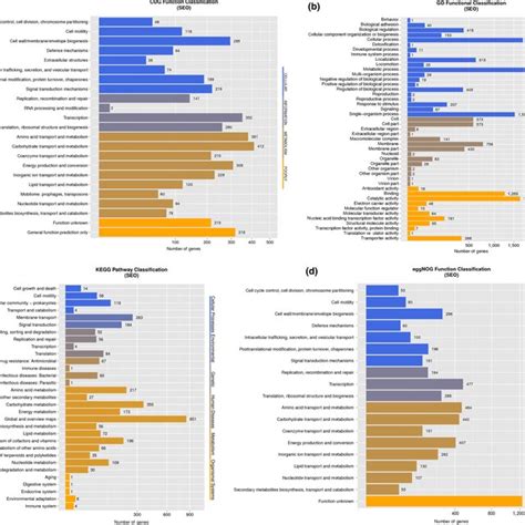 Function Annotation Of The Genome Of Seo A Cog Function Download Scientific Diagram