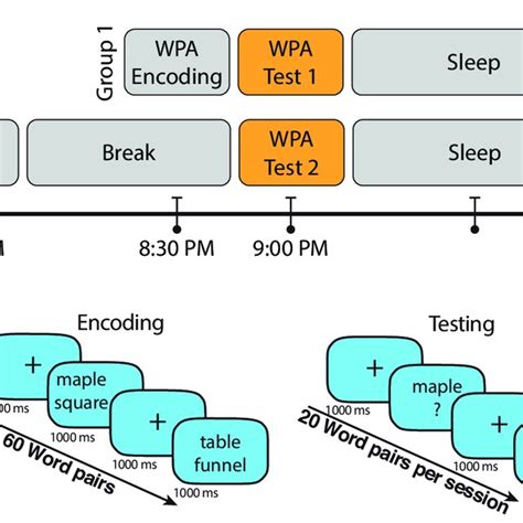 Timeline Of The Encoding And Test Sessions Of Wpa Task And Details Of
