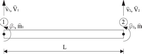Spectral Element Of A Finite Beam Domain Download Scientific Diagram