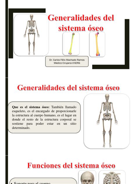 Generalidades De Sistema Oseo Pdf