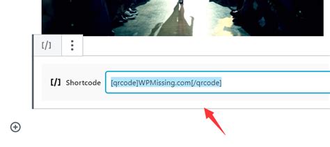 Wordpress Qr Code Generator With Shortcodes Doqrcode Wp Missing