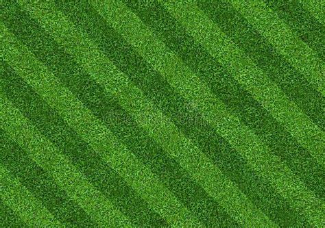 Grass Patterns Assets Sharing D5 Render Forum