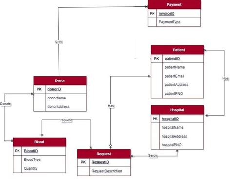 Solved I Have This Diagram In Need It In Relational Mapping
