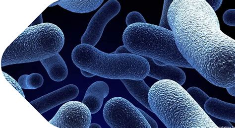 Mycometer Masarat For Accreditation