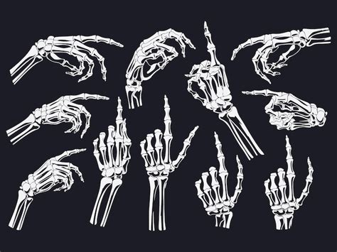 Premium Vector Vector Illustration Of Skeleton Hand Gestures In