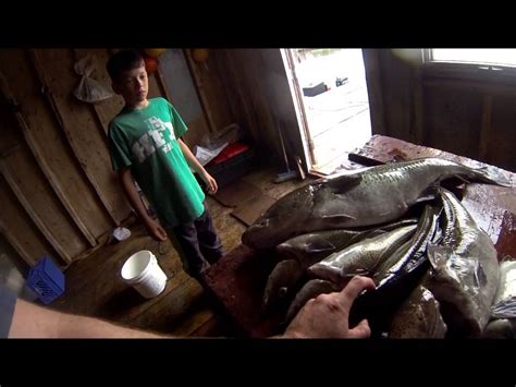 Cod Jigging Ear Bones Eye Balls And More Youtube