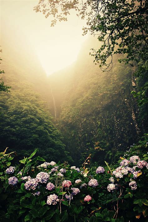 Portrait Nature Wallpapers 4k Hd Backgrounds On Wallpaperbat