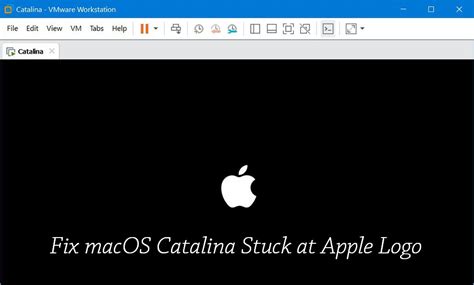 Как исправить зависание Macos Catalina на логотипе Apple при установке на Vmware