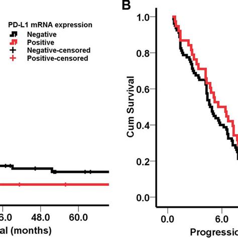 FFPe RnAscope Assays Using RnAscope Hd Detection Kit Brown Download Scientific Diagram
