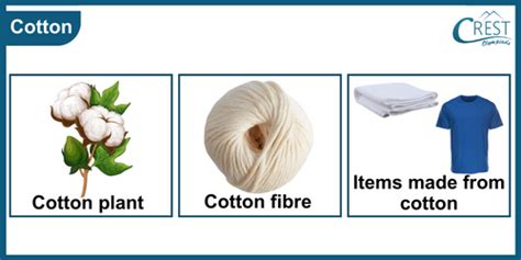 Class 6 Fibre To Fabric Key Concepts Explained