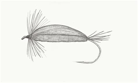 Artstation Humpy Fly Pattern Artworks