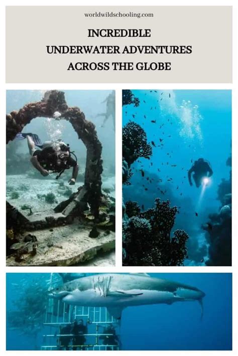 12 Incredible Underwater Adventures Across The Globe You Need To Experience