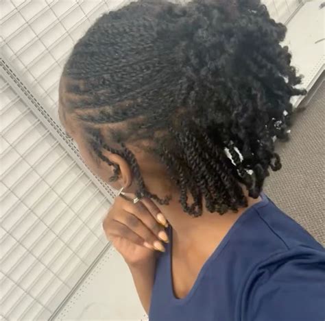 Mini Twist Hairstyle Mini Twists Natural Hair Natural Hair Braids