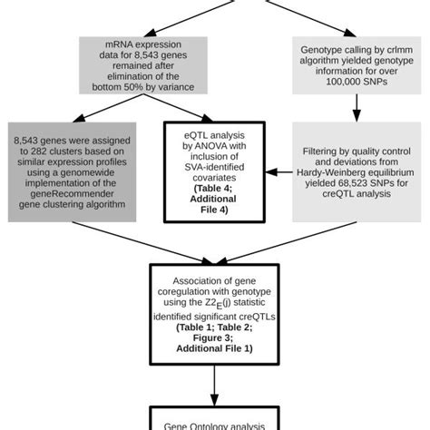 Overview Of Analysis Download Scientific Diagram