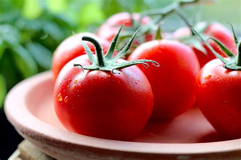 Free Images Natural Foods Local Food Red Fruit Vegetable Solanum Plum Tomato Bush