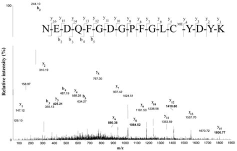 Collision Induced Dissociation Mass Spectrum Of Peptide Download