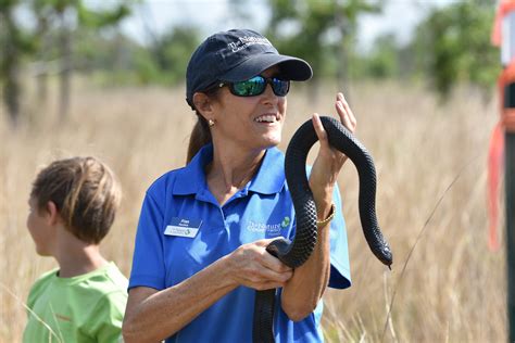 Using Parallel Structures Effectively Grammar Support Sourcing Summarizing And