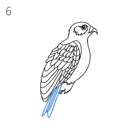 How To Draw A Buzzard Step By Step Easy Drawing Guides Drawing Howtos
