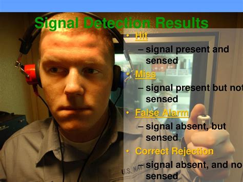 Sensation And Perception Ppt Download