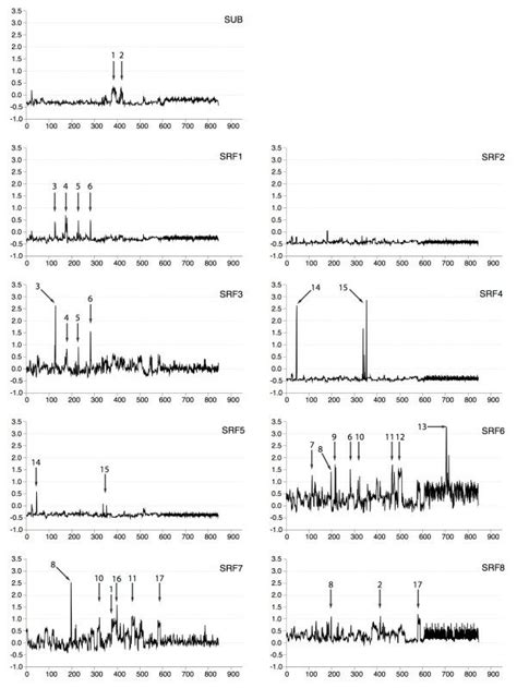 microarray based expression profiles of srf genes x and y axis