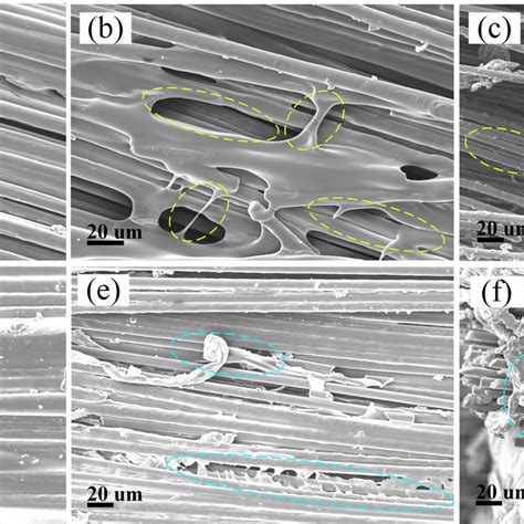 Rapid Prototyping Of Continuous Carbon Fiber Reinforced Polylactic Acid