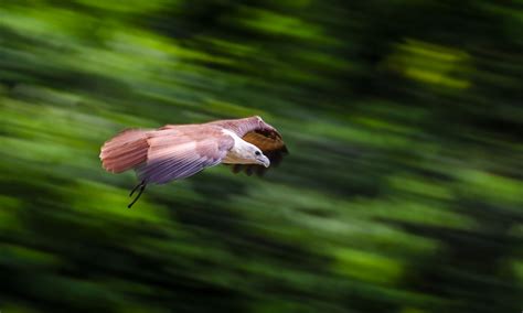 Alexanderstephan 510 Alexander Stephan Flickr