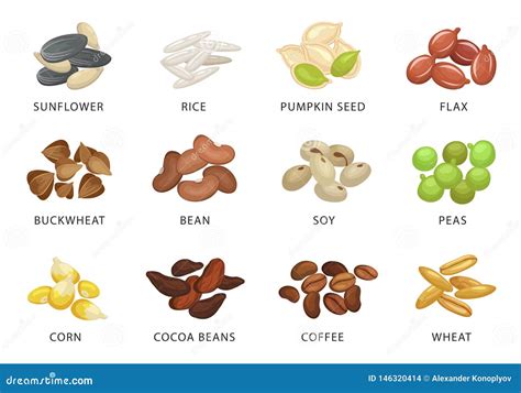 Flat Seeds Names At Herman Dunlap Blog