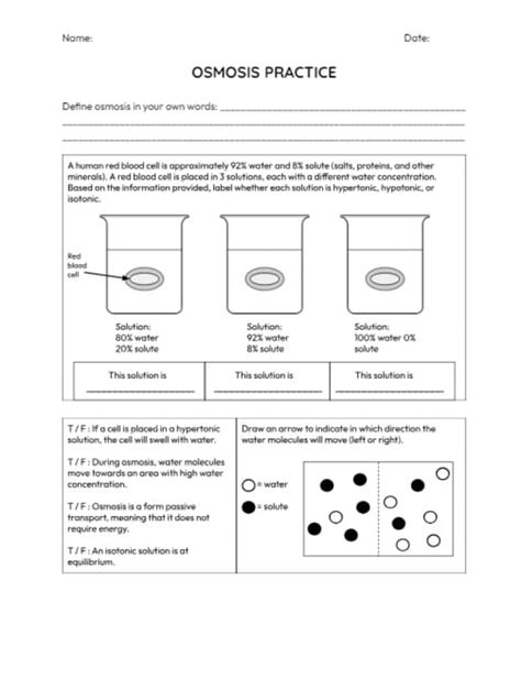 Osmosis Practice Set Worksheet And Answer Key By The Stem Sisters
