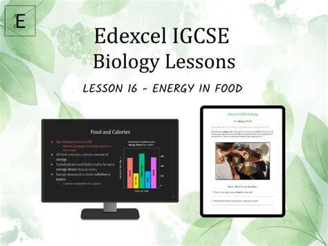 Edexcel Igcse Biology Lesson 16 Energy In Food Teaching Resources