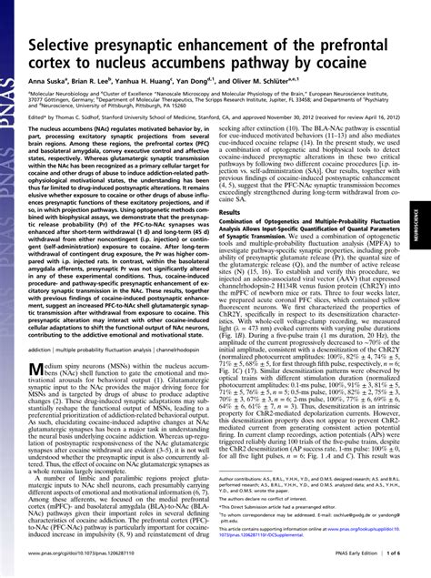 Pdf Selective Presynaptic Enhancement Of The Prefrontal Cortex To