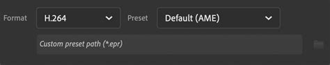 Project Failing To Export Animation Too Intricate Adobe Community