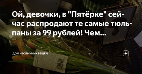Ой девочки в Пятёрке сейчас распродают те самые тюльпаны за 99 рублей Чем… Дом необычных