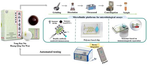 A Microfluidic Biosensor For Quantitative Detection Of Salmonella In