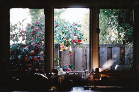 window outside wallpaper