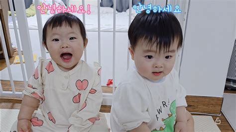 쌍둥이 아기의 깜찍한 안녕하세요 15개월 Youtube