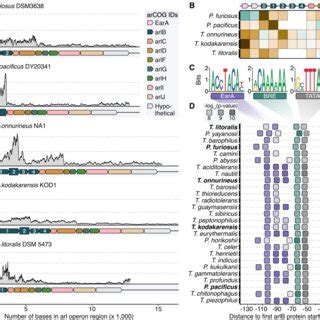 Long Read Sequencing Analysis Provides High Resolution Insights Into Download Scientific