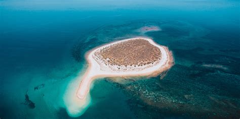 Mackerel Islands Amazing Island Holidays Western Australia