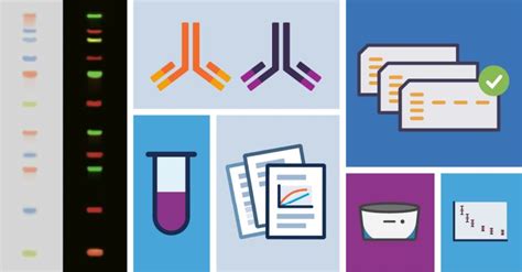 Spark Scientific Private Limited On Linkedin Westernblotwednesdays Reproducibleresearch