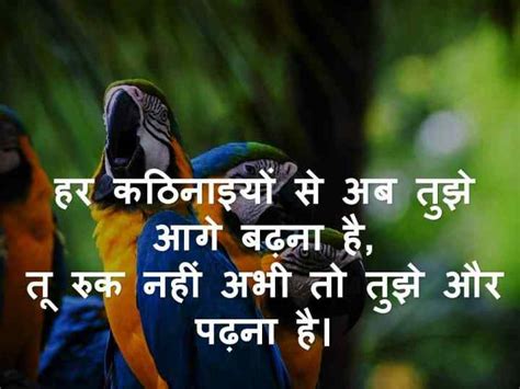 500 Best Padhai Par Shayari In Hindi । पढ़ाई पर शायरी